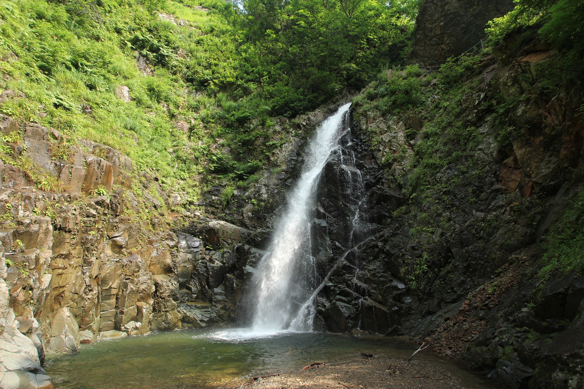 白神山地 | アジア, 日本 | 世界遺産ガイド